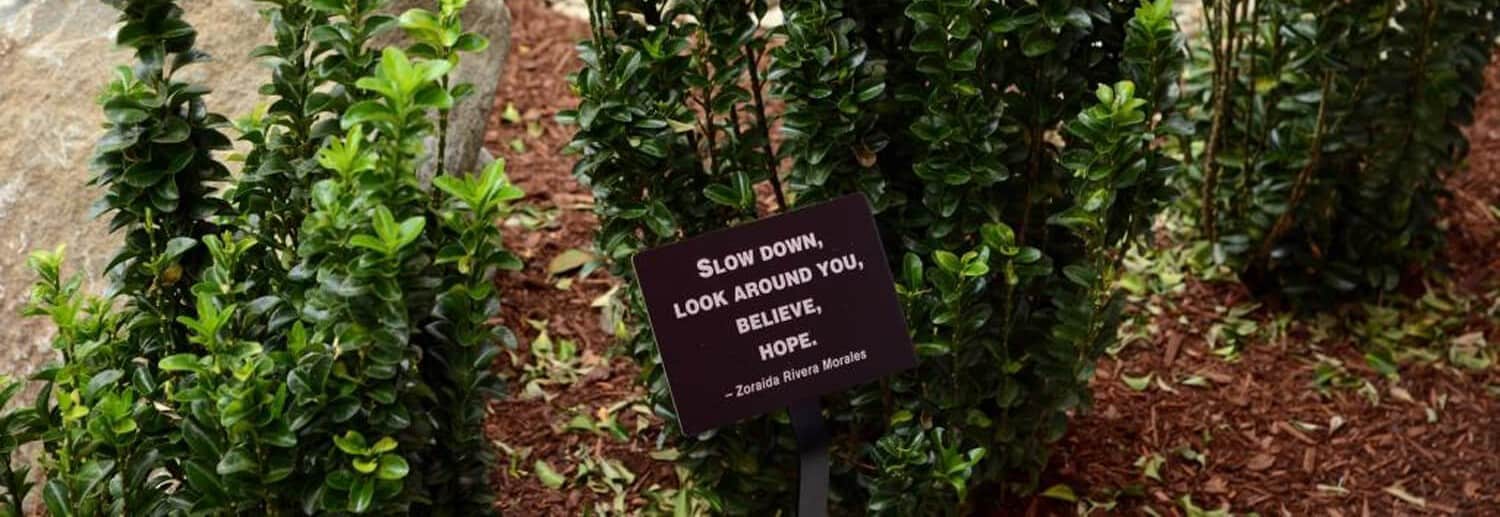 Ordering Info For My Plant Label