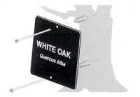 Plant Identification Labels, Interpretive Signs | My Plant Label