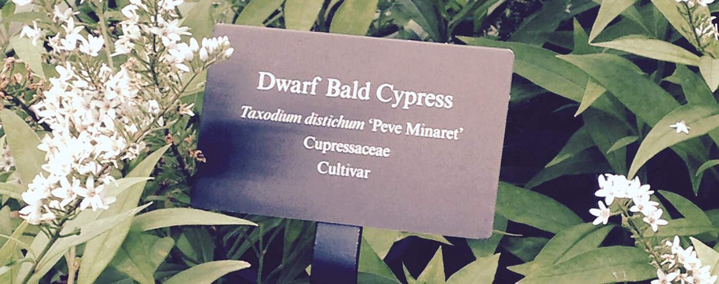 Custom Garden Informational Signs My Plant Label Custom Garden Informational Signs My Plant Label